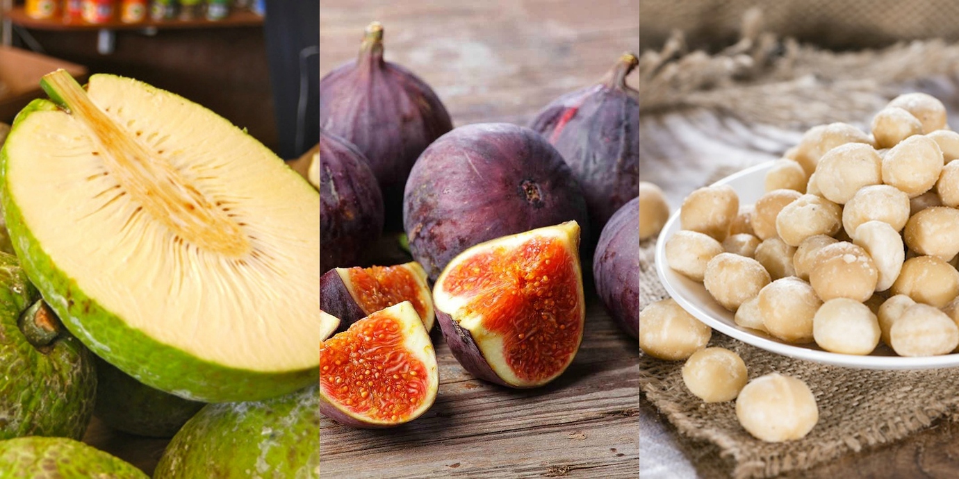 The Official English Names of 16 Malaysia Daily Produce such as Daun ...
